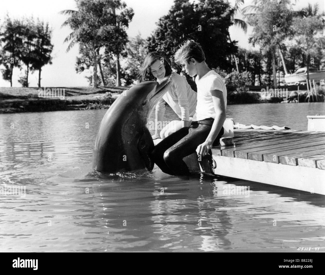 Flipper 1964 hi-res stock photography and images - Alamy