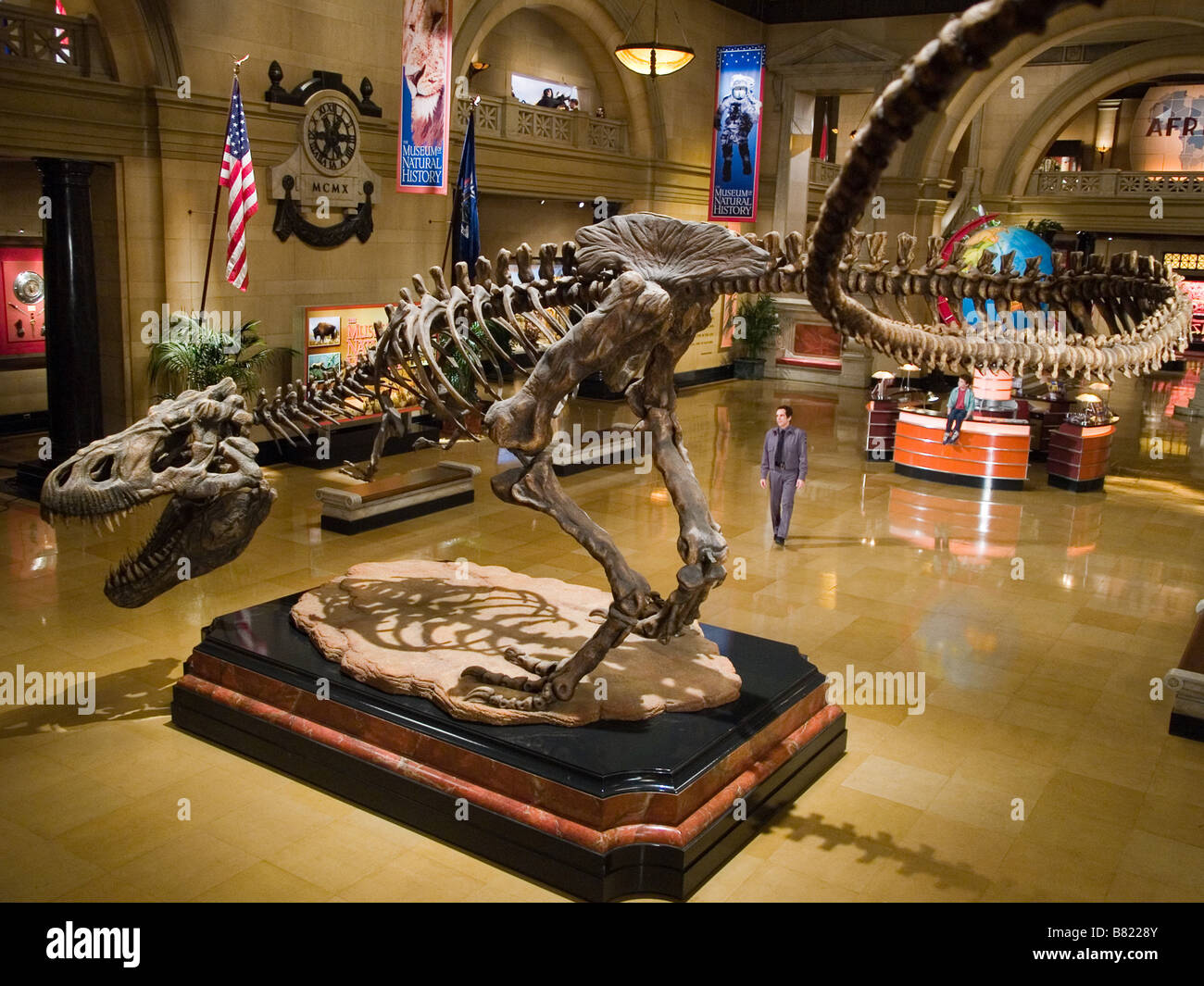 Night at the Museum Year: 2006 USA Ben Stiller Director: Shawn Levy ...