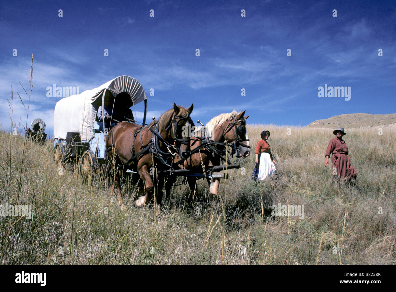 Pioneer Wagon Train High Resolution Stock Photography and Images - Alamy