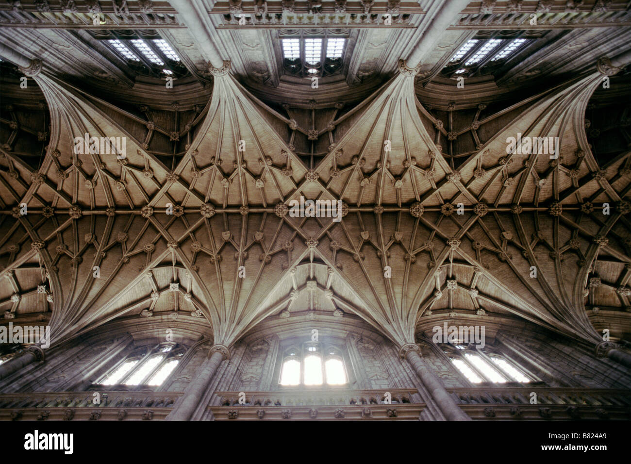 Vaulted ceiling, Exeter Cathedral, Devon, UK Stock Photo - Alamy