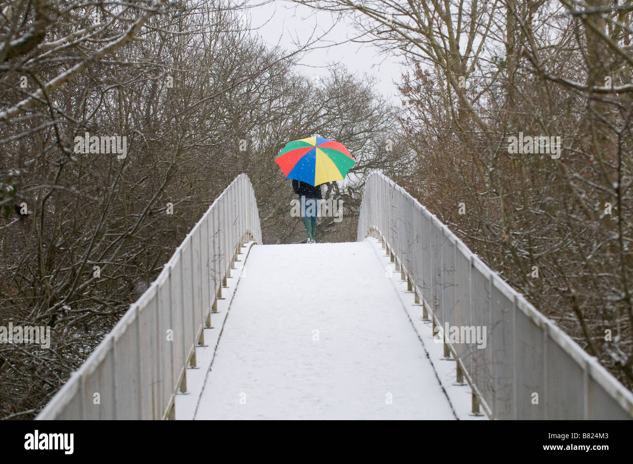 A woman with an umbrella walks through a heavy snow shower in Redditch ...