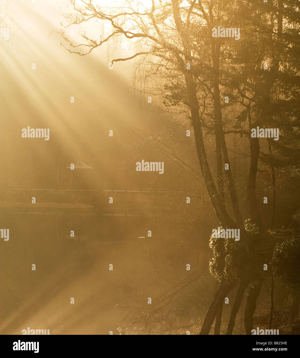 Sunshine through mist hi-res stock photography and images - Alamy