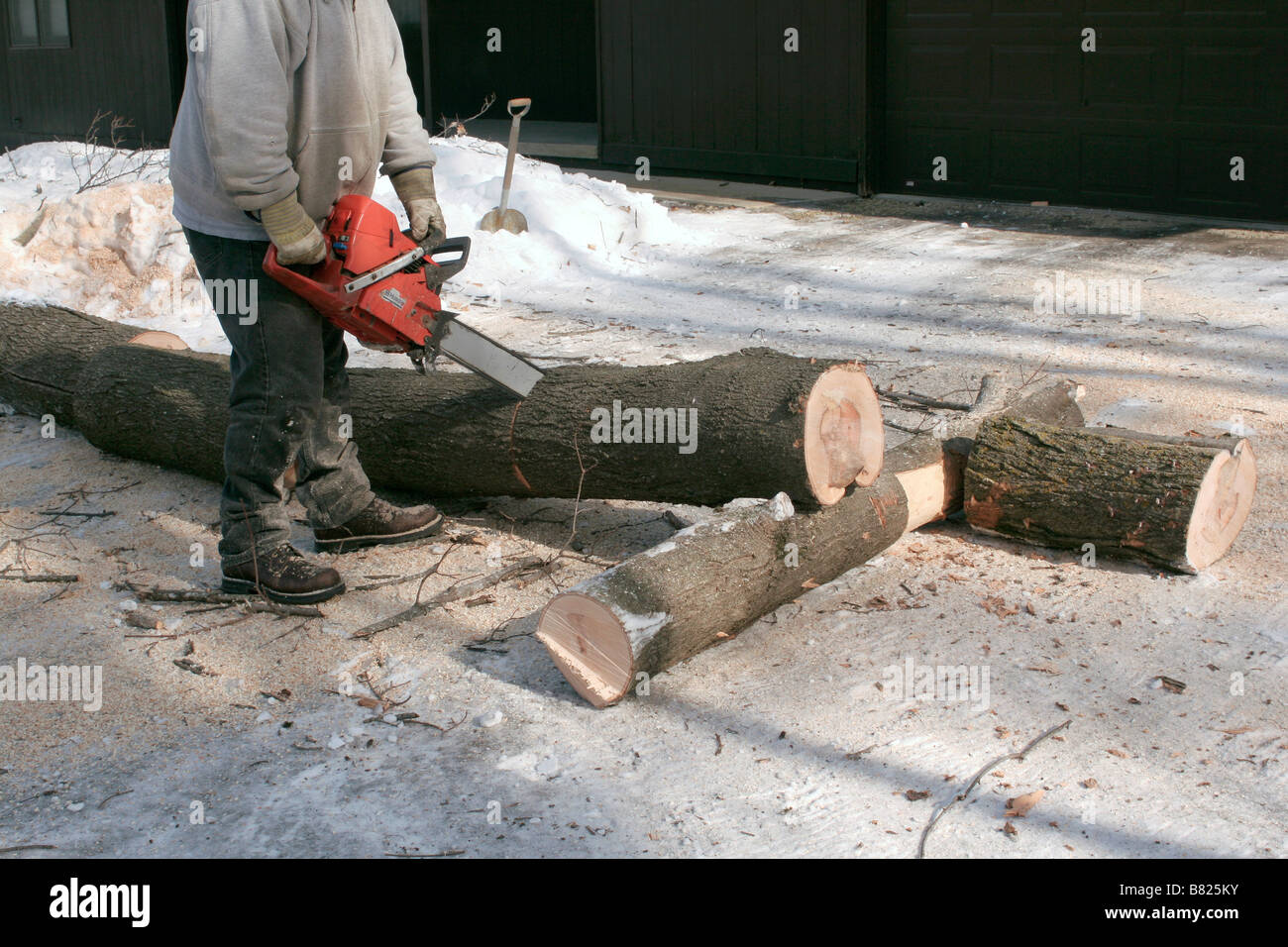 Sawing tree limb hi-res stock photography and images - Alamy