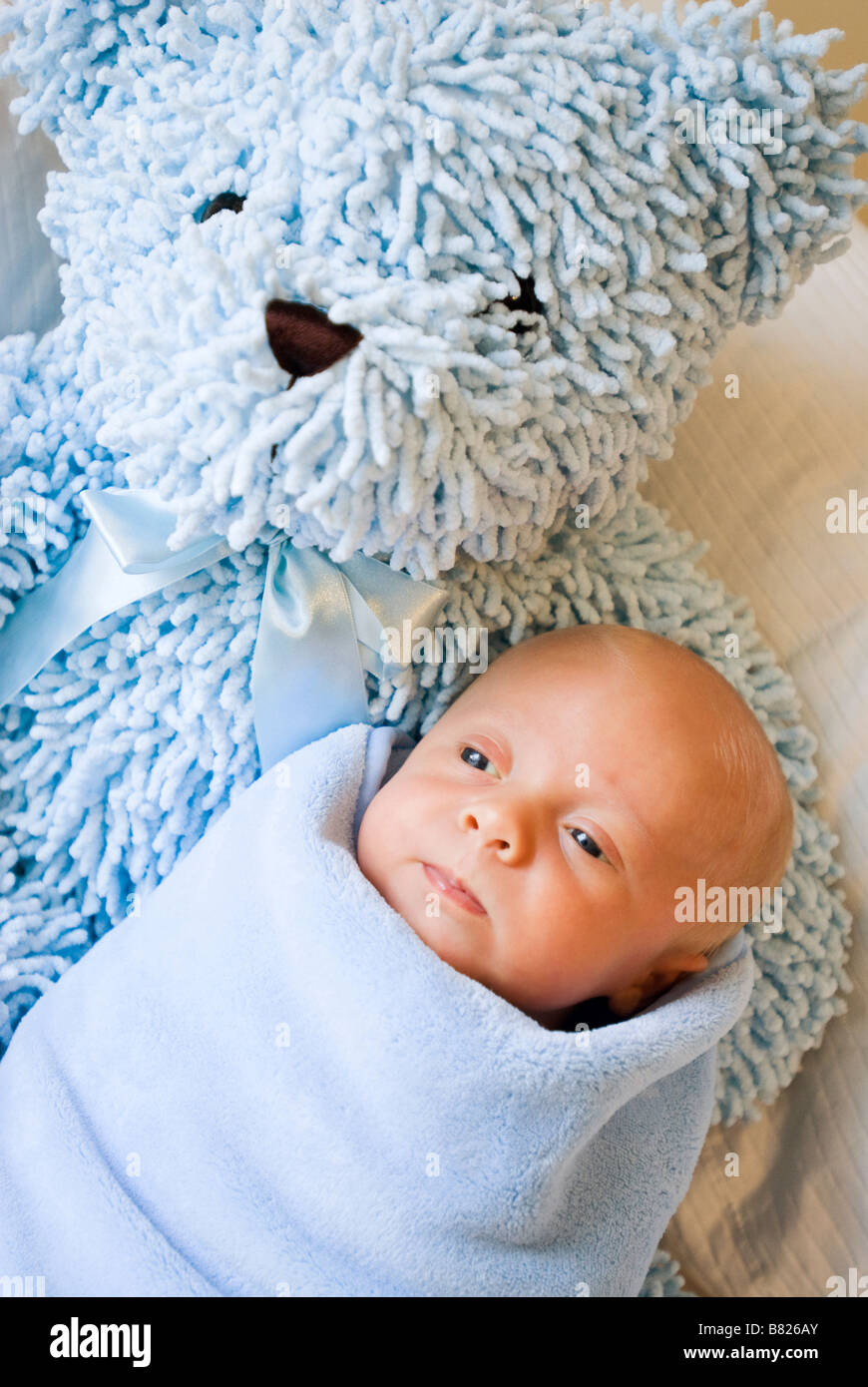 baby in baby blanket resting Stock Photo - Alamy