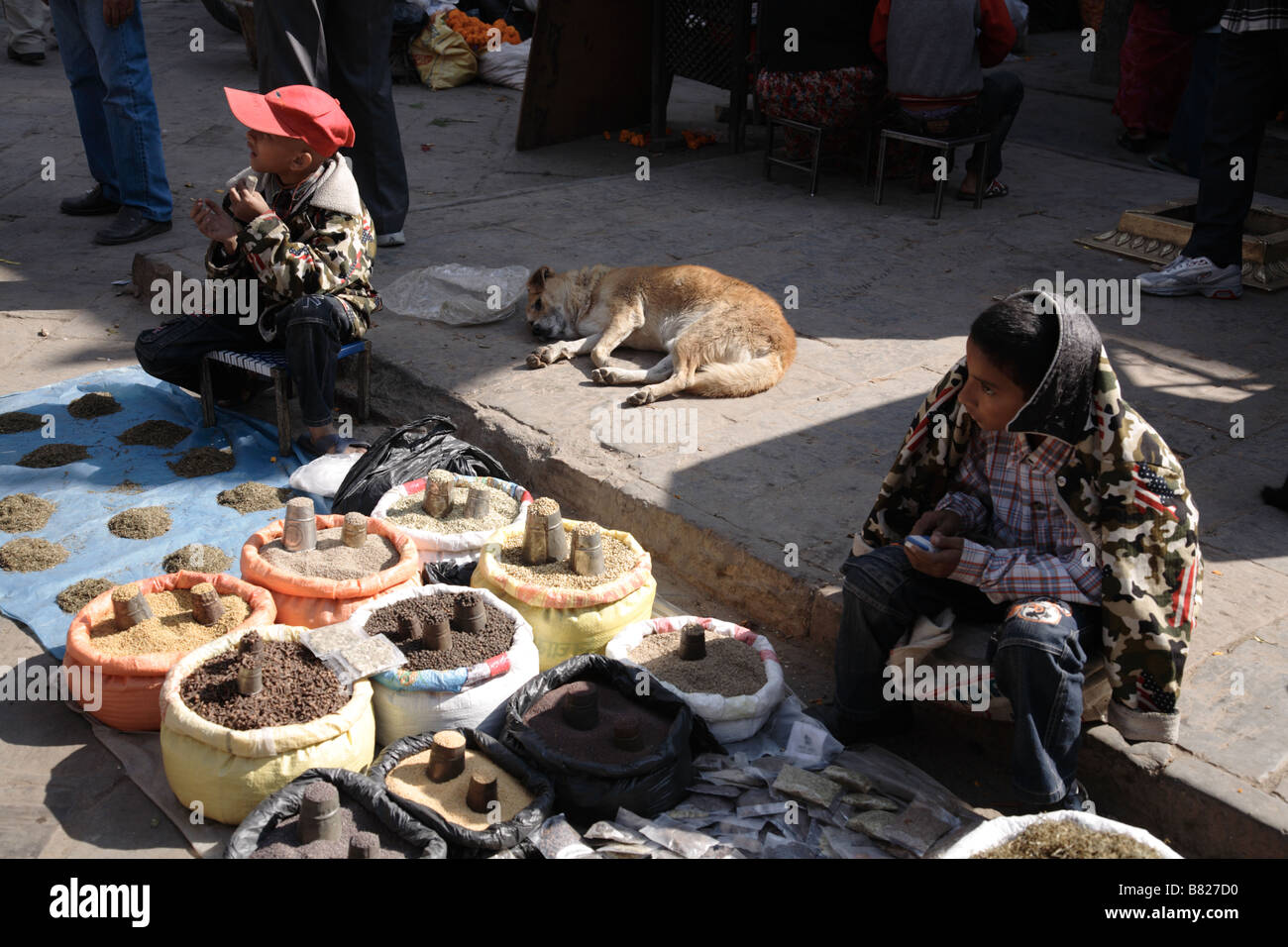 Spice sellers at market in Indra Chowk, Kathmandu Stock Photo - Alamy