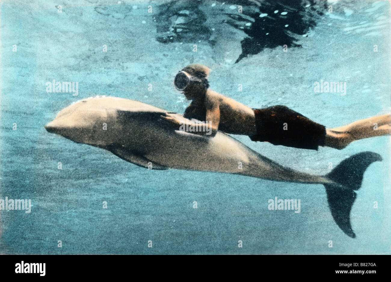 Aventure en floride Flipper Year: 1963 USA Luke Halpin Director: James ...
