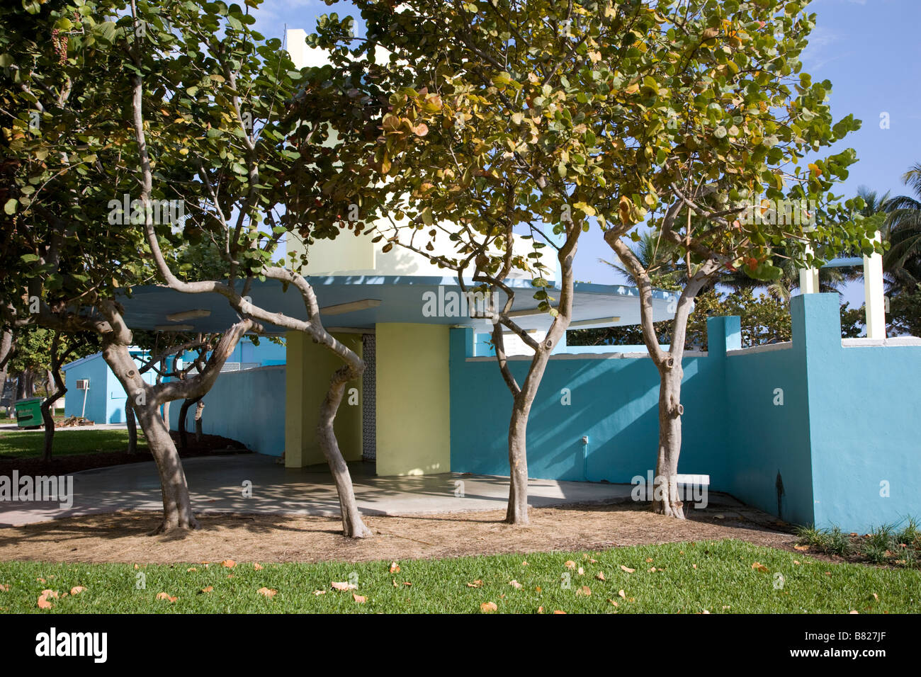 Autumnal trees in Miami Stock Photo - Alamy