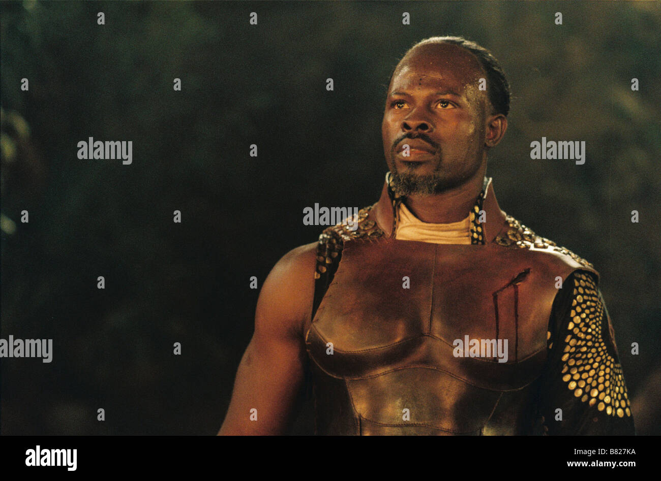 Eragon Year: 2006 USA Djimon Hounsou Director: Stefen Fangmeier Stock ...