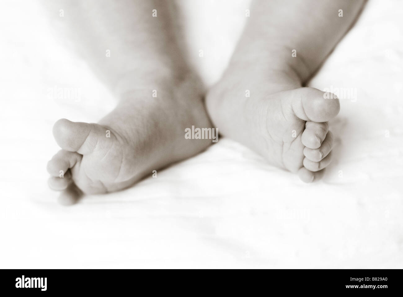 Facing feet hi-res stock photography and images - Alamy