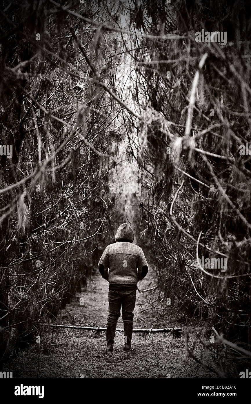 Hooded figure and woods hi-res stock photography and images - Alamy