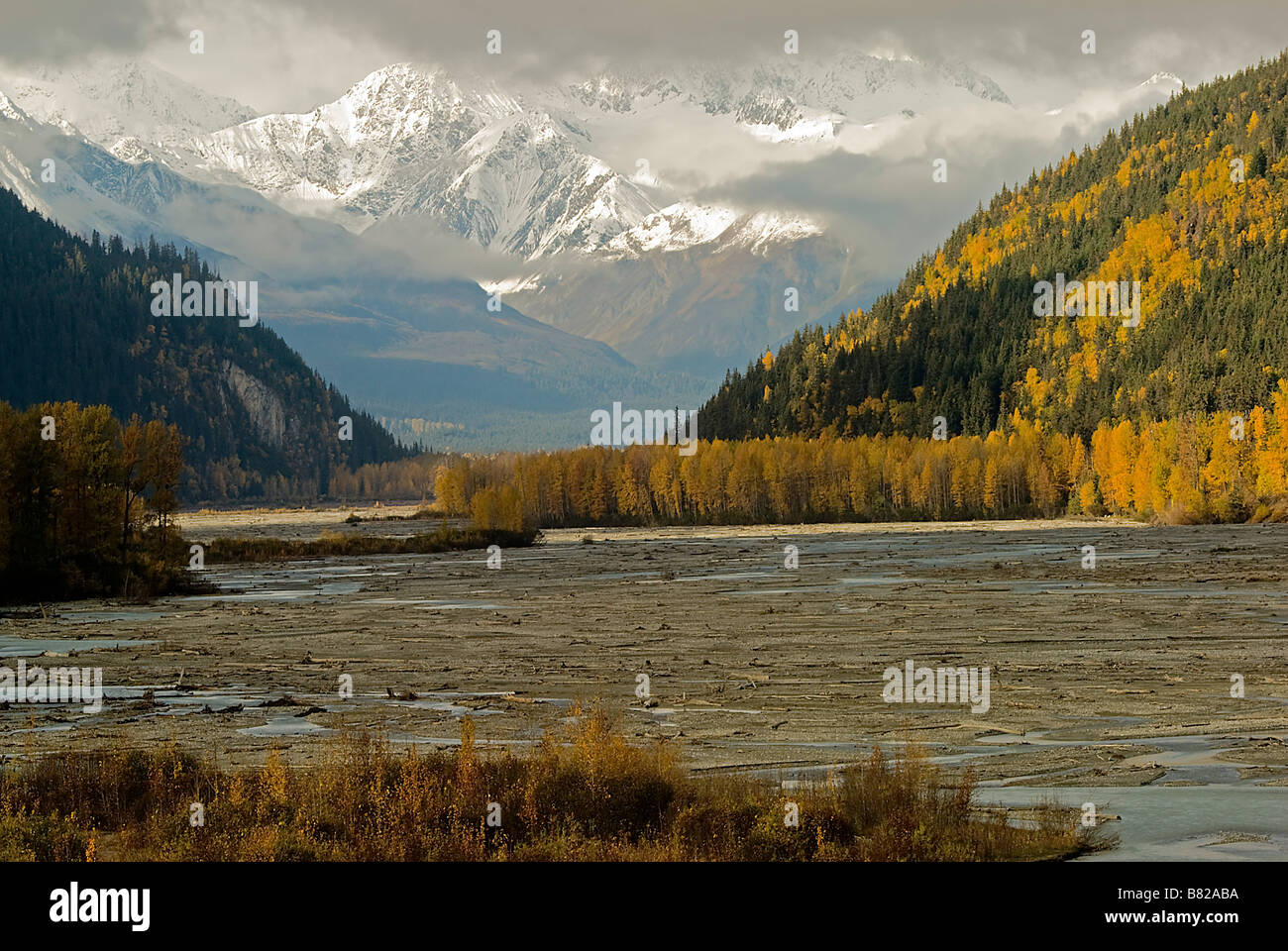 Chilkat river delta flowing from Alaskan mountains at Haines Alaska USA ...
