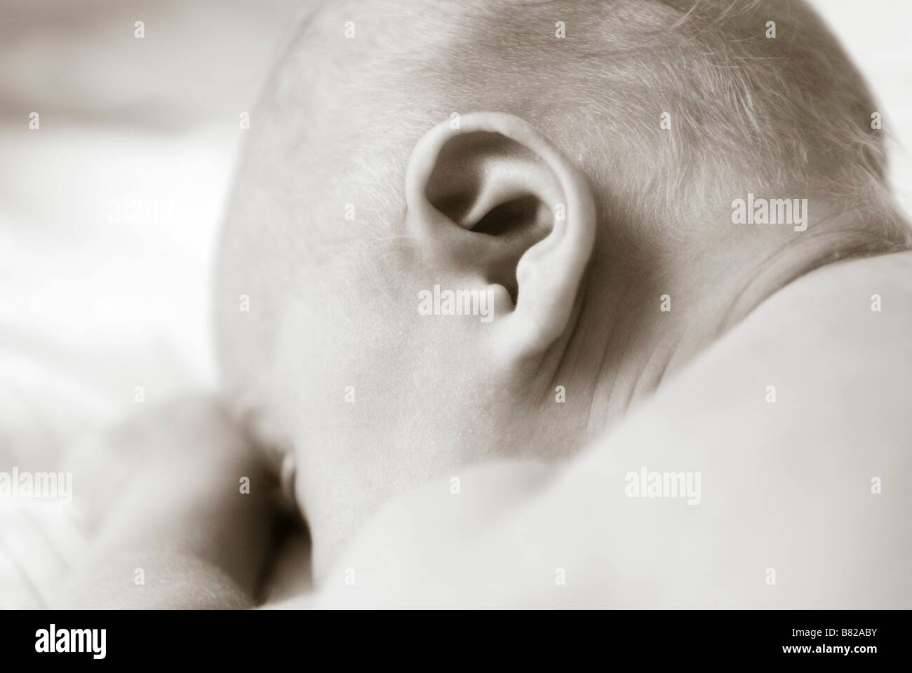 close up of baby's head and ear Stock Photo - Alamy