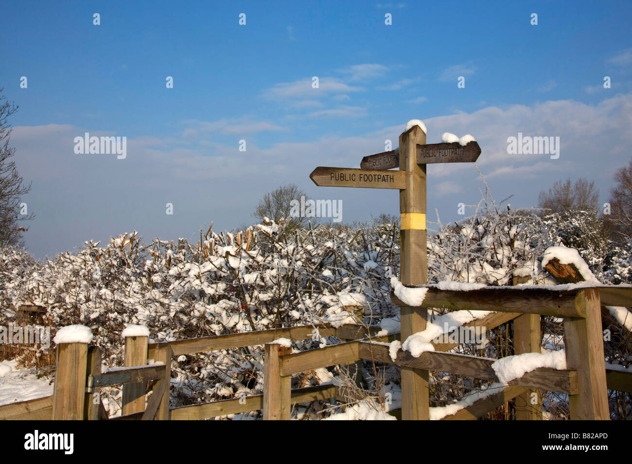 which way now Stock Photo - Alamy
