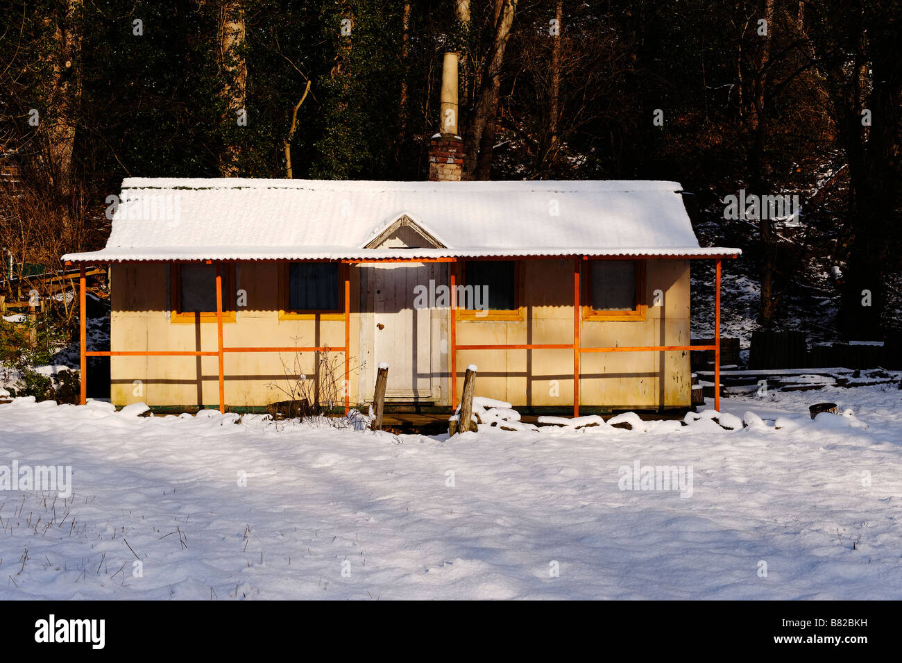 Wooden chalet or shack in Whittledene Woods near Ovingham in ...