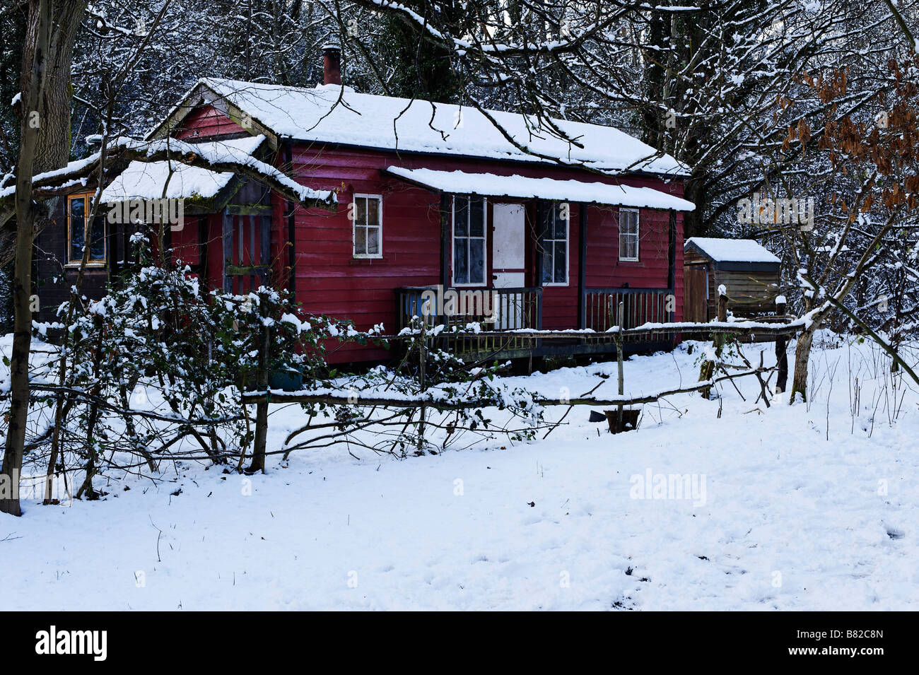 Wooden chalet or shack in Whittledene Woods near Ovingham in ...