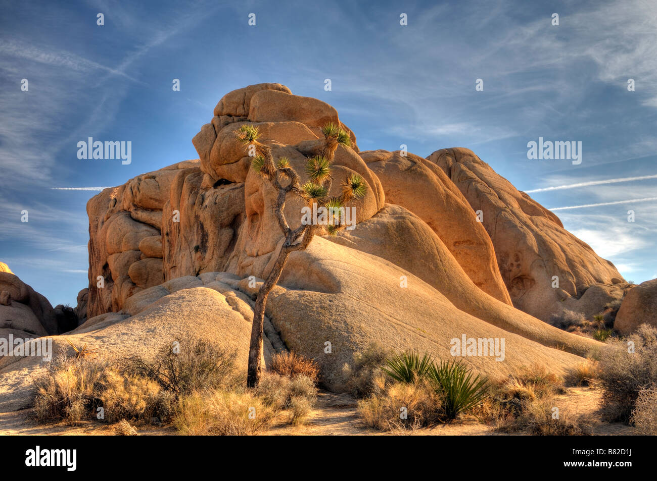 Jumbo rocks area hi-res stock photography and images - Alamy