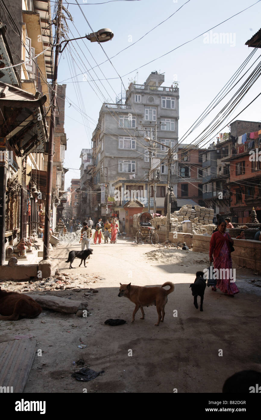 Nepal kathmandu dog hi-res stock photography and images - Alamy