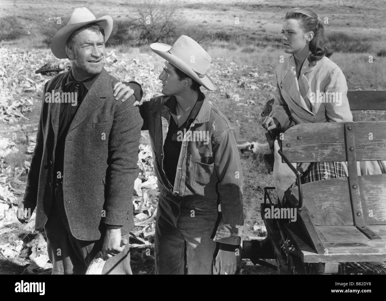 la vallé du solitaire High Lonesome Year: 1950 USA Director: Alan Le ...