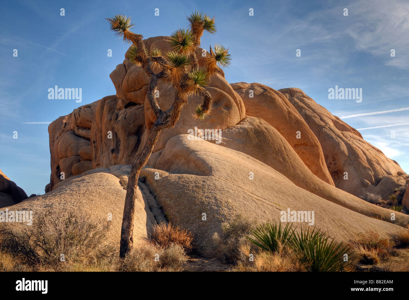 Monzogranite hi-res stock photography and images - Alamy
