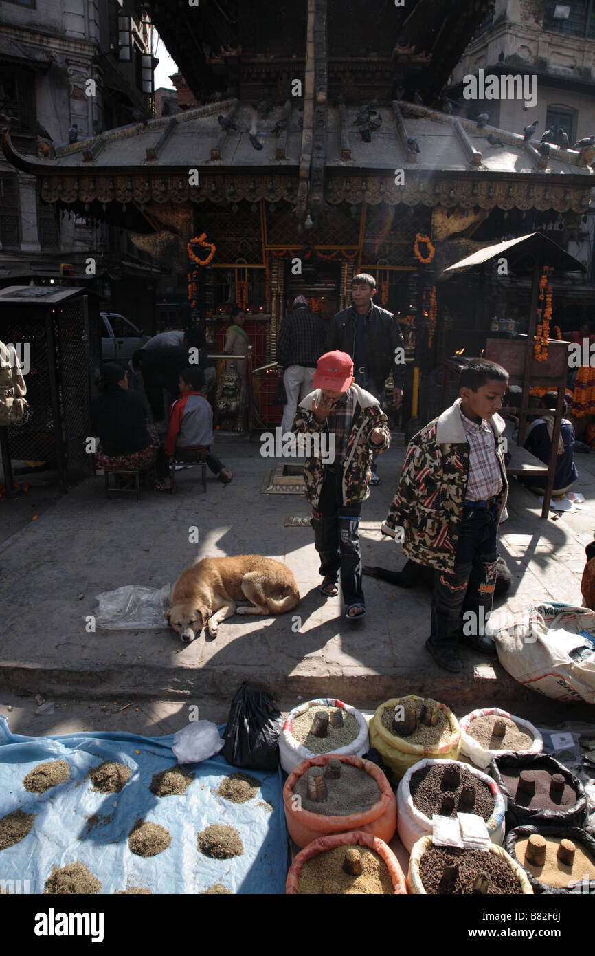 Spice sellers at market in Indra Chowk, Kathmandu Stock Photo - Alamy