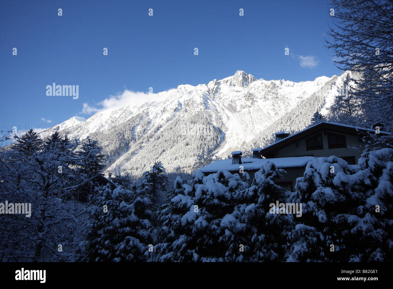 Snow-capped trees and country house with the Alps in the background ...