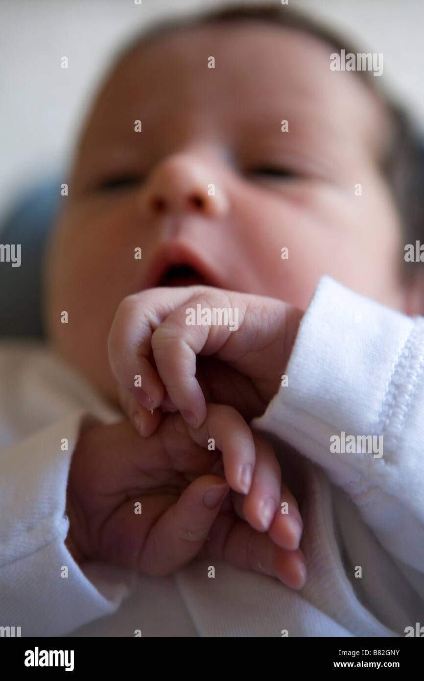 A newborn baby's hands Stock Photo - Alamy