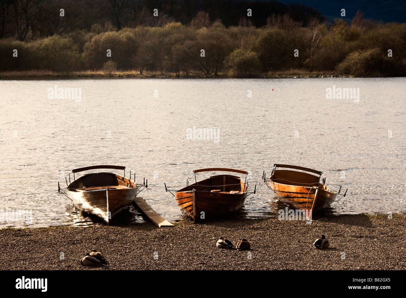 Rowboats on water hi-res stock photography and images - Alamy