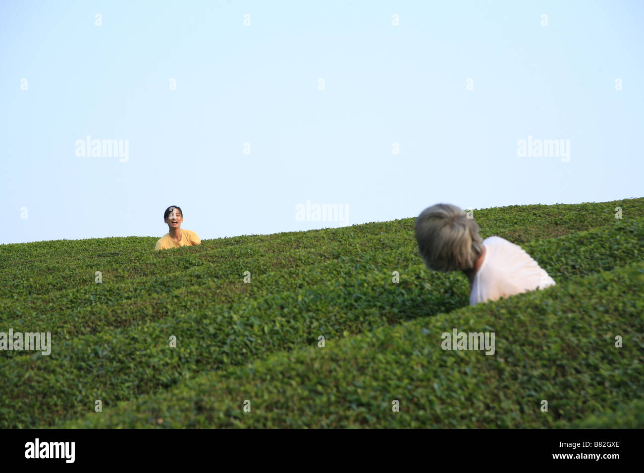 La Forêt de Mogari Mogari no mori Year: 2007 - Japan Machiko Ono ...