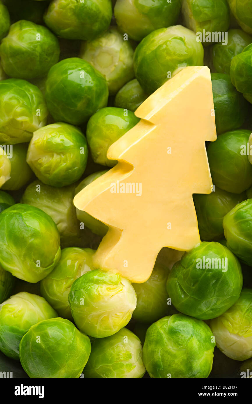 Brussel sprouts tree hi-res stock photography and images - Alamy
