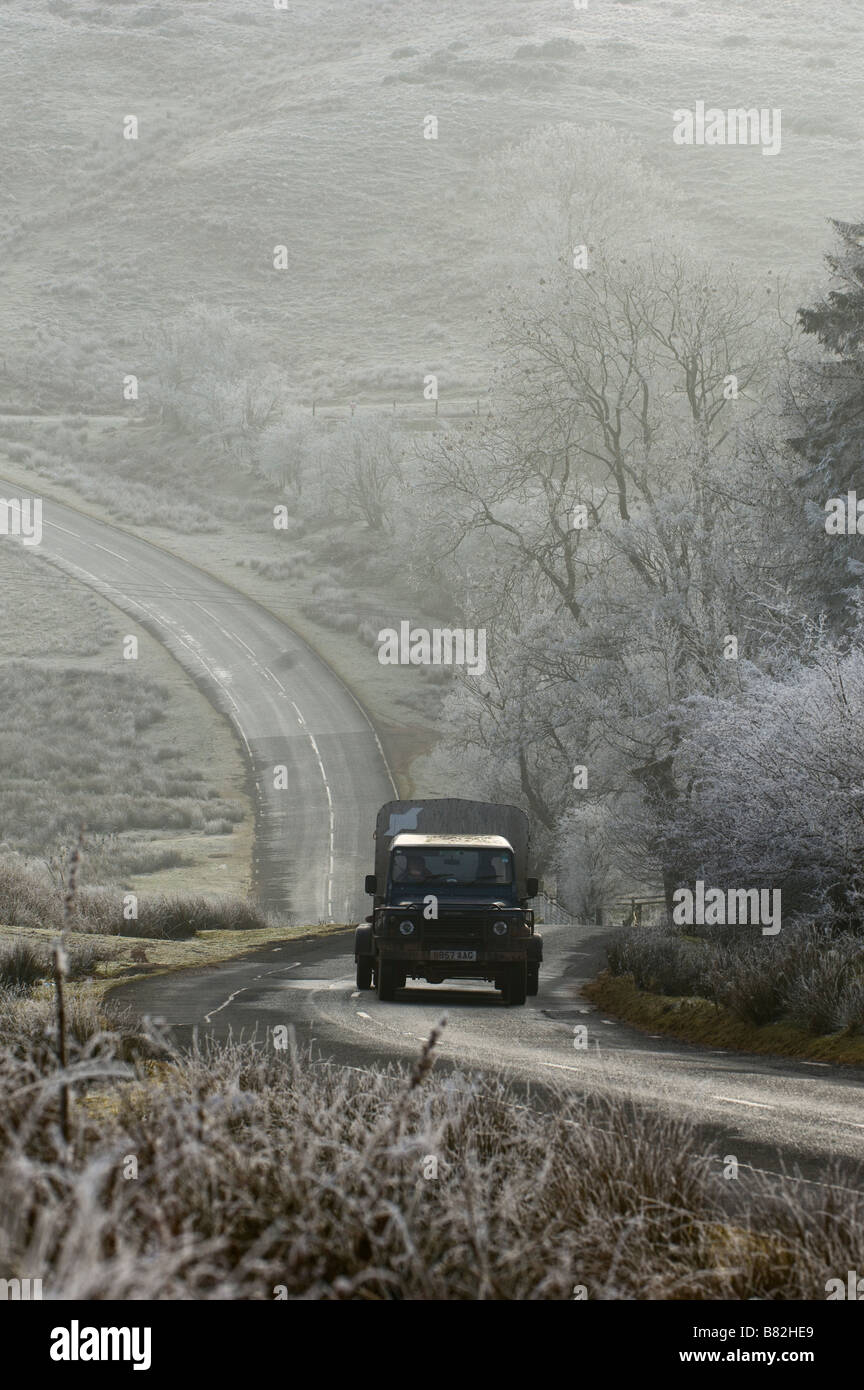 A farmer takes sheep to the market with his Land Rover and trailer ...