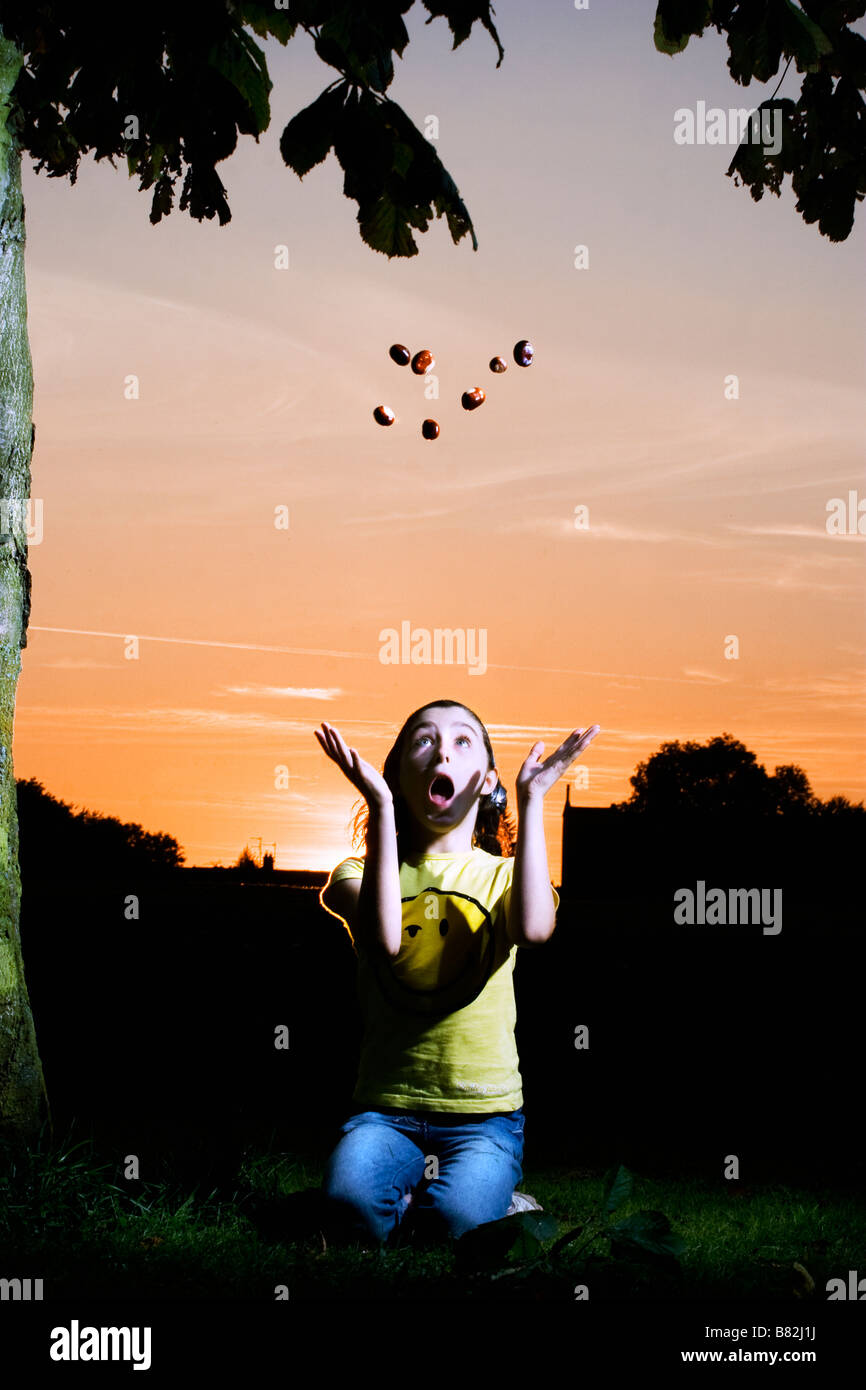 Falling conkers hi-res stock photography and images - Alamy