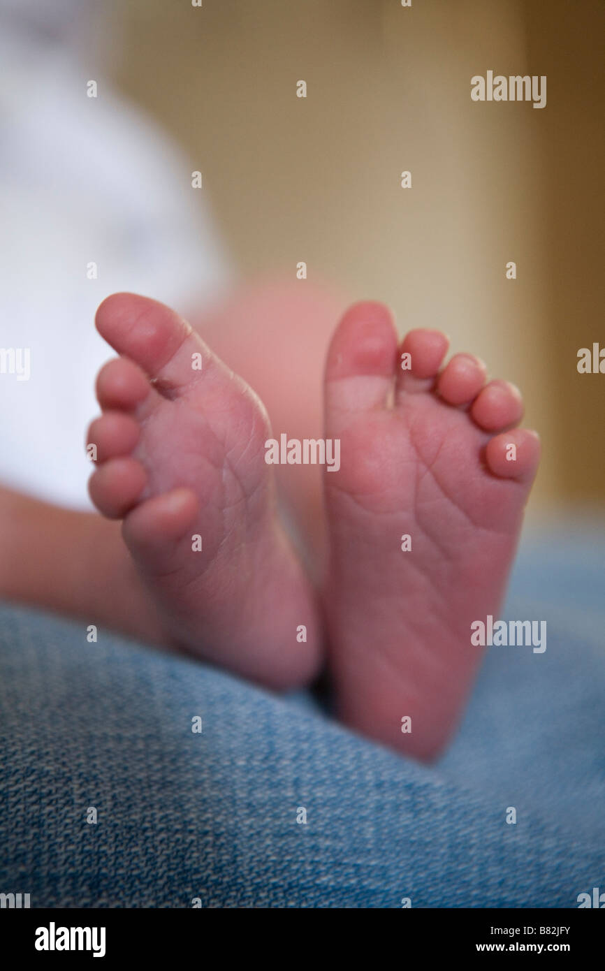A newborn baby s feet Stock Photo - Alamy