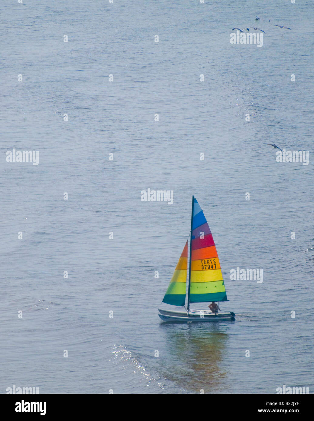 Sinola High Resolution Stock Photography and Images - Alamy