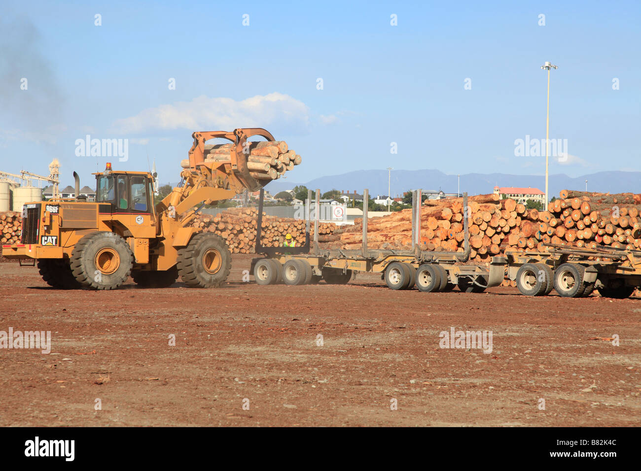 Loader and stock pile of pine logs for export at timber yard,Prime Port ...