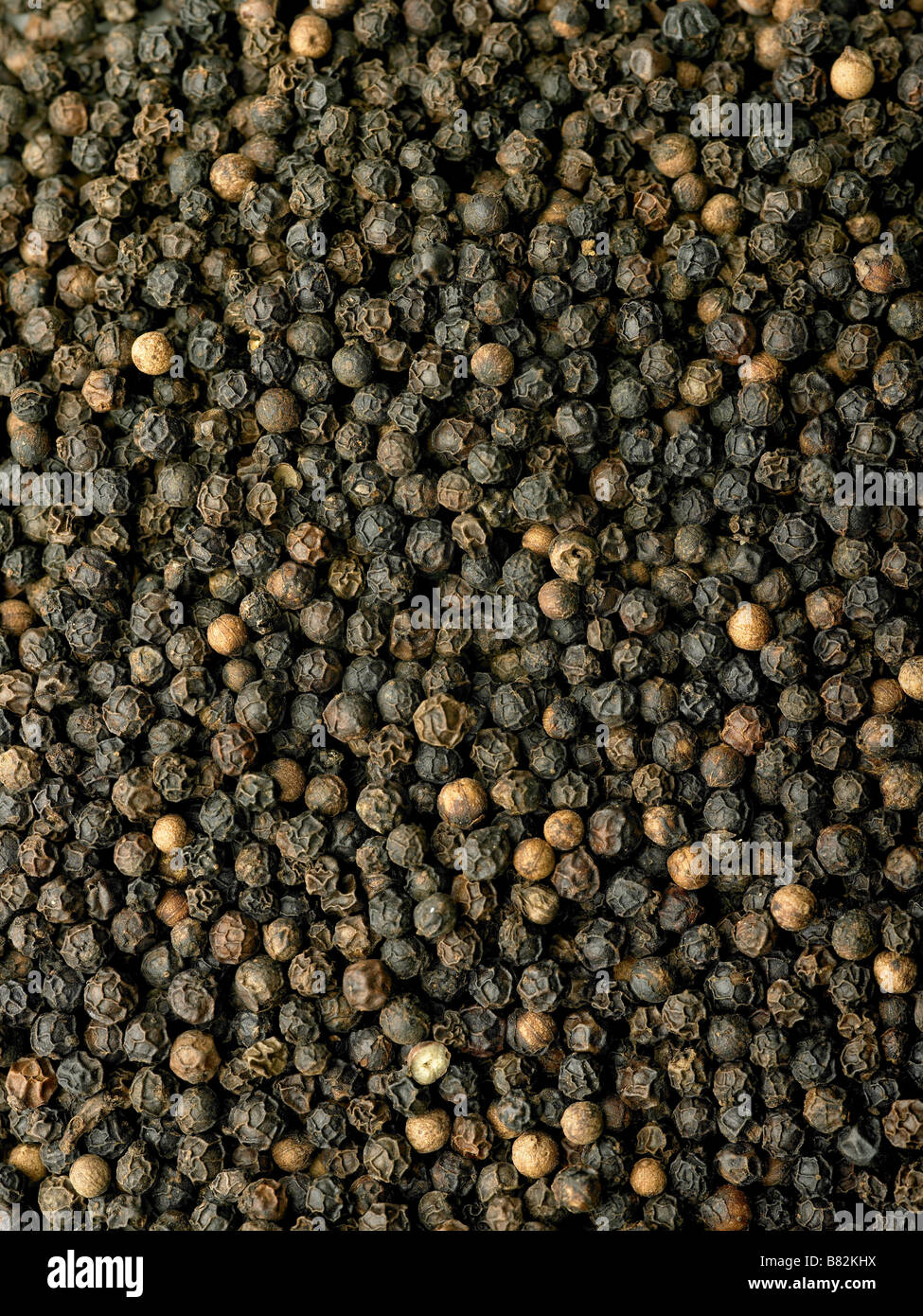 whole black pepper corns Stock Photo - Alamy