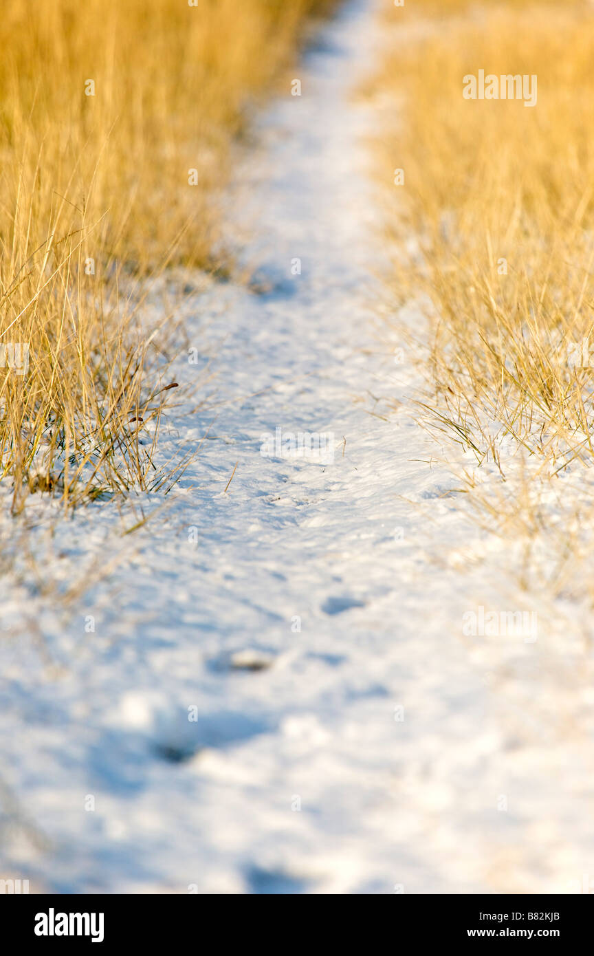 Trail covered by snow Stock Photo - Alamy