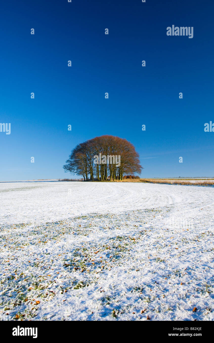 A sunny snowy winter landscape view or scene on Overton Hill near ...