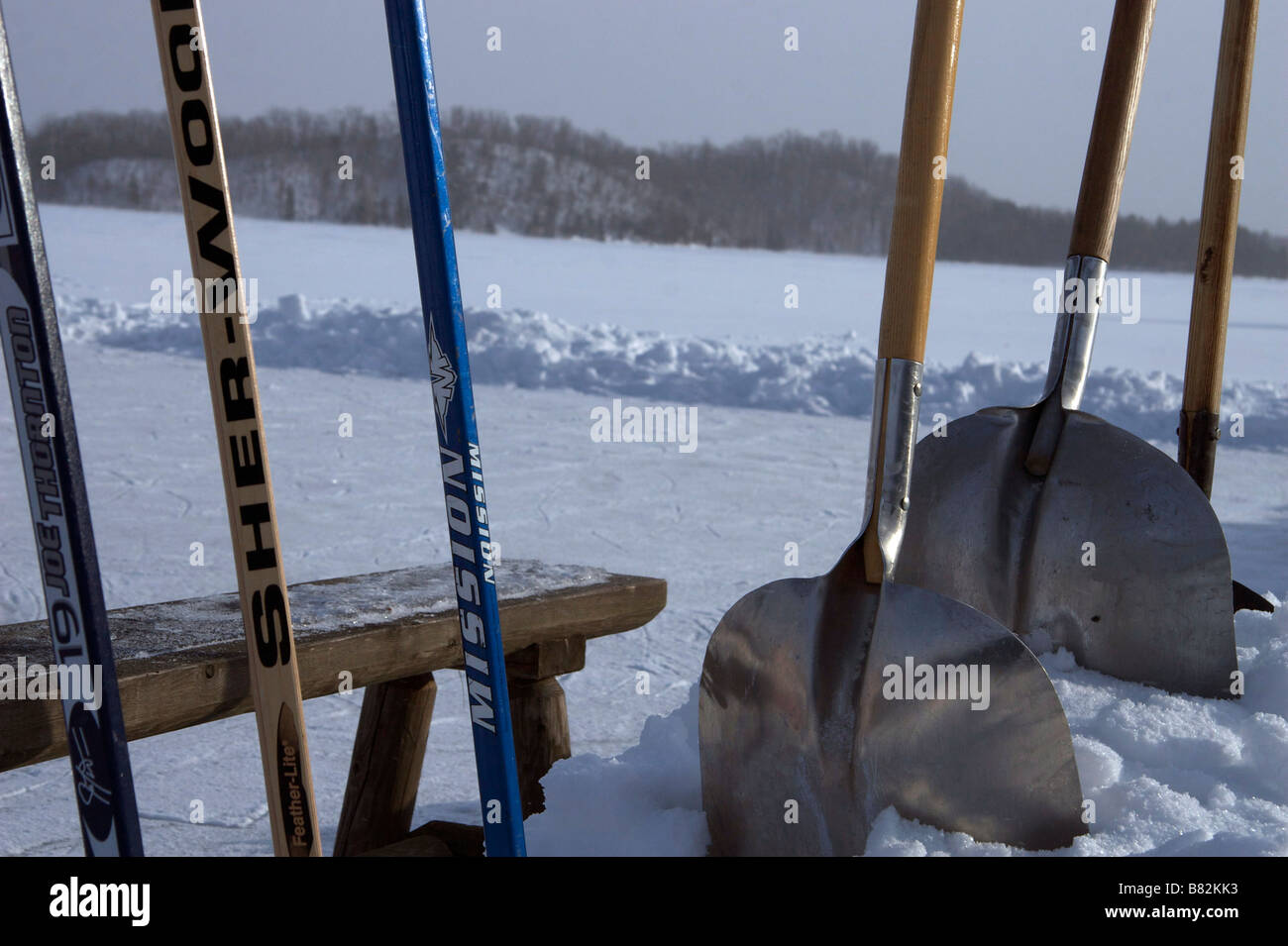 Ice hockey players bench hi-res stock photography and images - Alamy