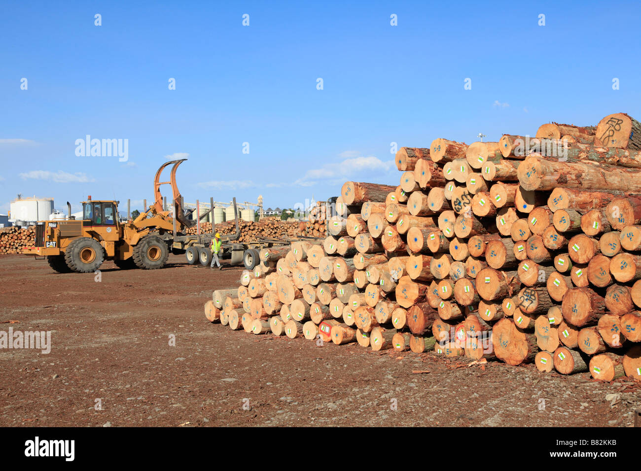 Logs stacked in pile hi-res stock photography and images - Alamy