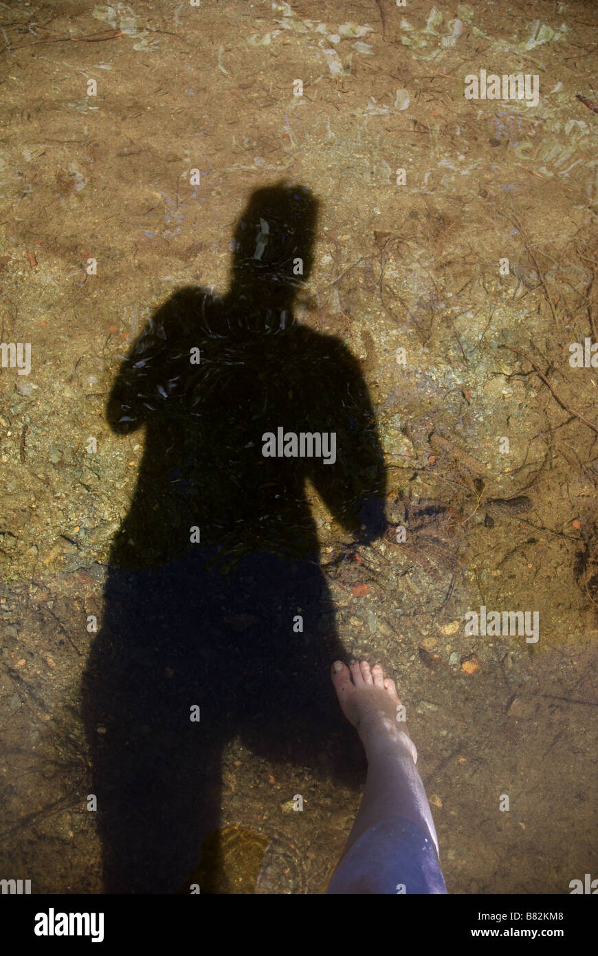 Shadow of a woman in the bottom of a lake Stock Photo - Alamy