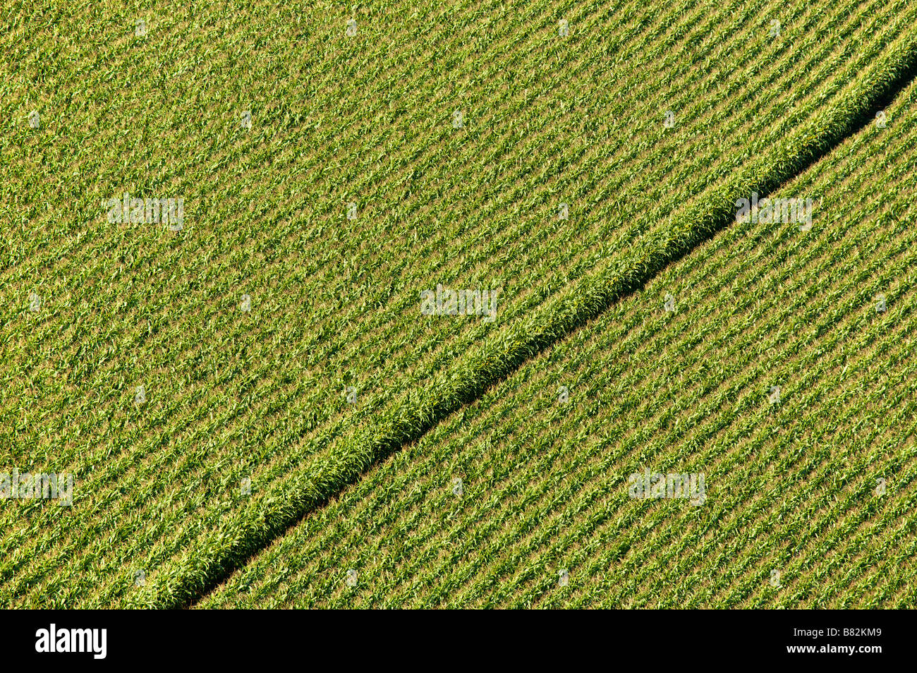 Crops in france hi-res stock photography and images - Alamy