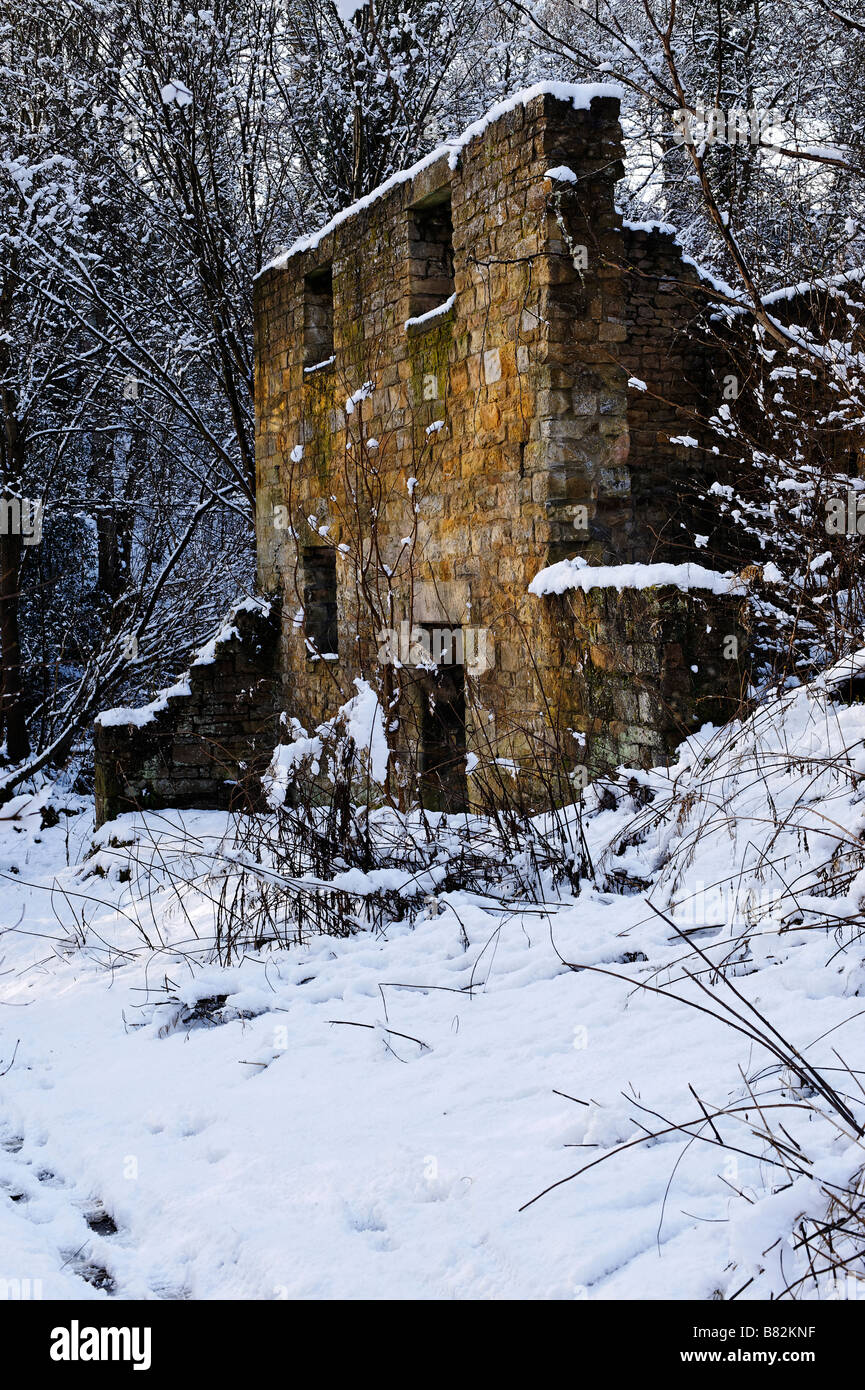 Ruined stone building in snow covered woods. The structure is an old ...