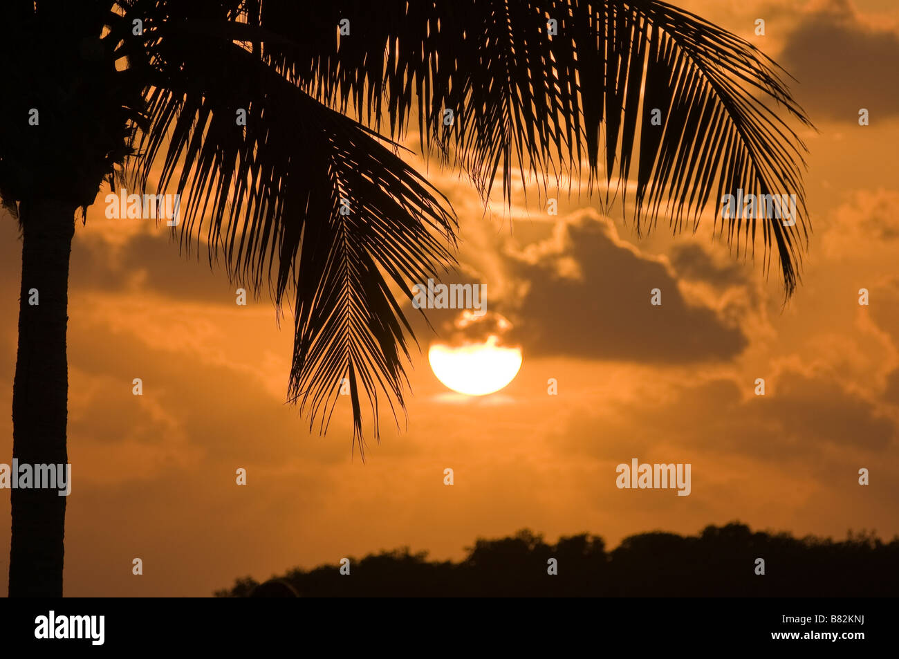 Sunset over mangrove island Marathon Key Florida Keys Florida Stock ...