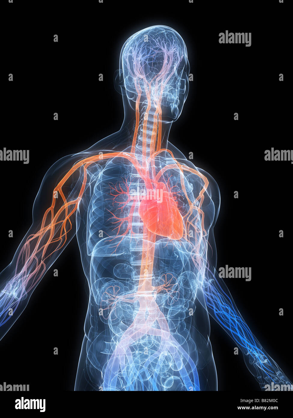 System graphic hi-res stock photography and images - Alamy