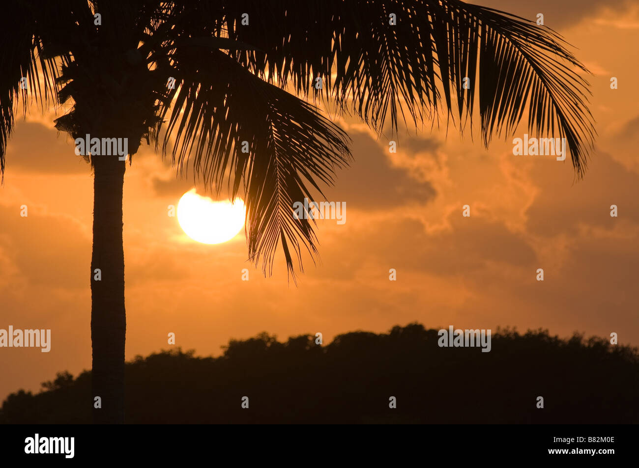 Sunset over mangrove island Marathon Key Florida Keys Florida Stock ...