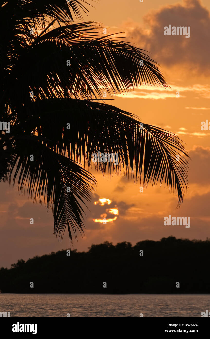 Sunset over mangrove island Marathon Key Florida Keys Florida Stock ...