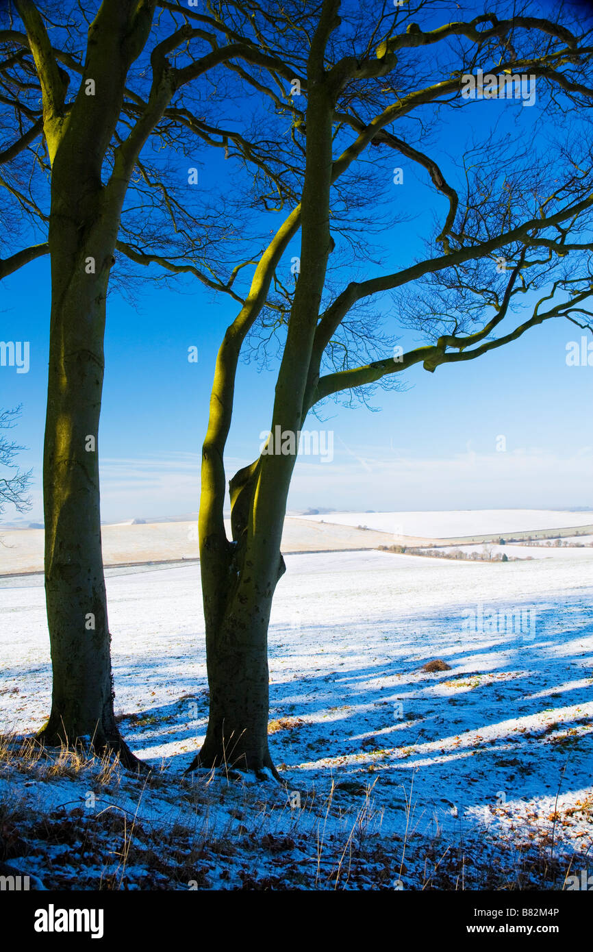 A sunny snowy winter landscape view or scene on Overton Hill near ...