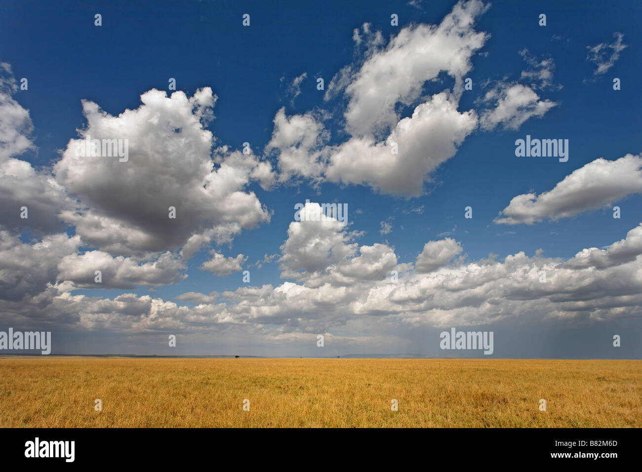 Wide angle clouds hi-res stock photography and images - Alamy