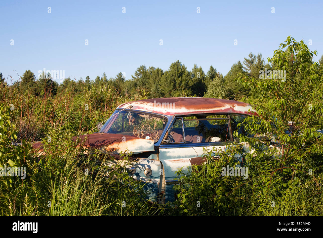 Old abandoned car rusts hi-res stock photography and images - Alamy