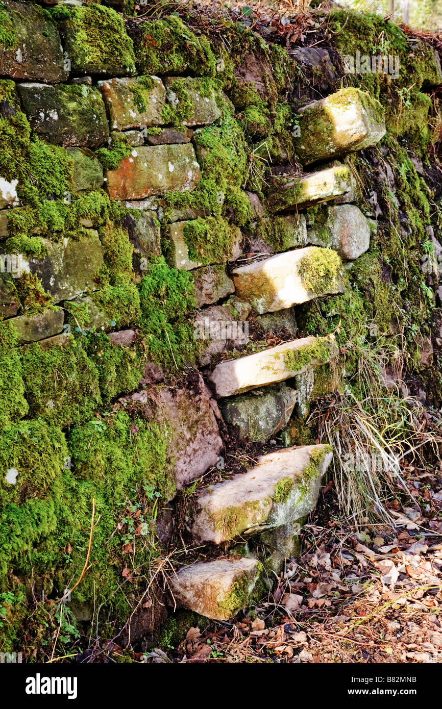 Stone wall, Derbyshire, England Stock Photo - Alamy